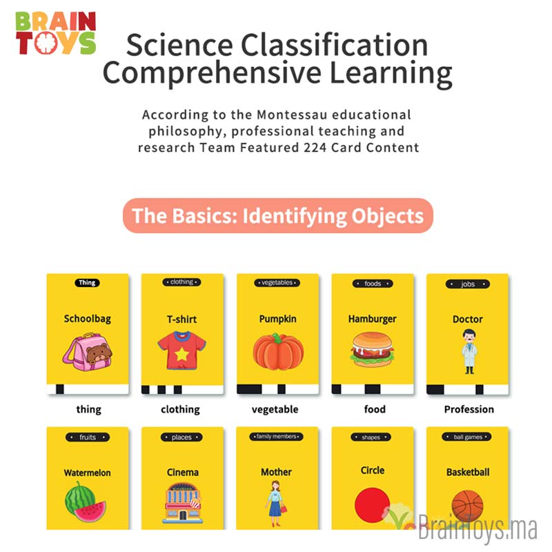 Cartes flash 2 en 1 pour enfants plus LCD - BrainToys maroc